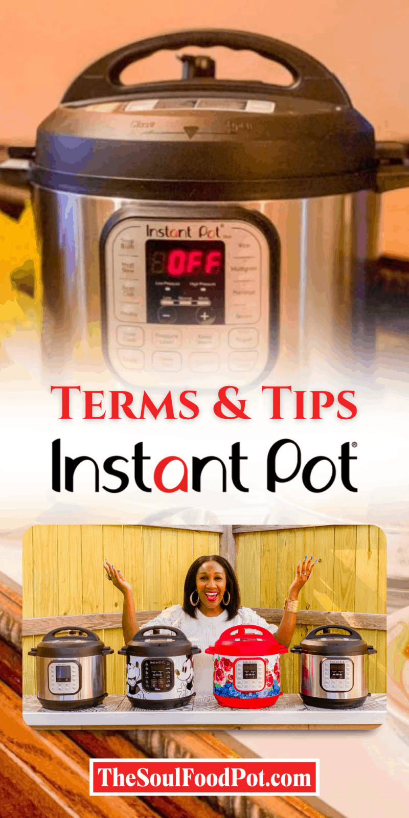 Instant Pot For Beginners Terms & Tips - The Soul Food Pot