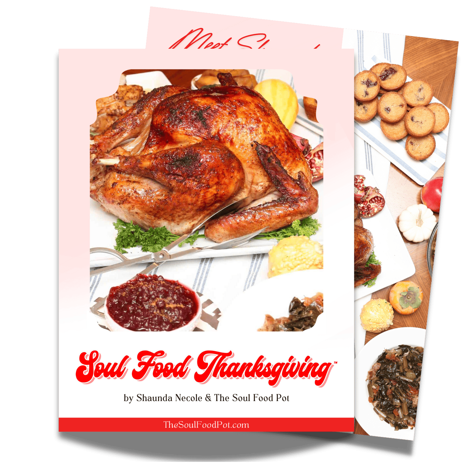 Black Folks Soul Food Chicken Yock Recipe - The Soul Food Pot