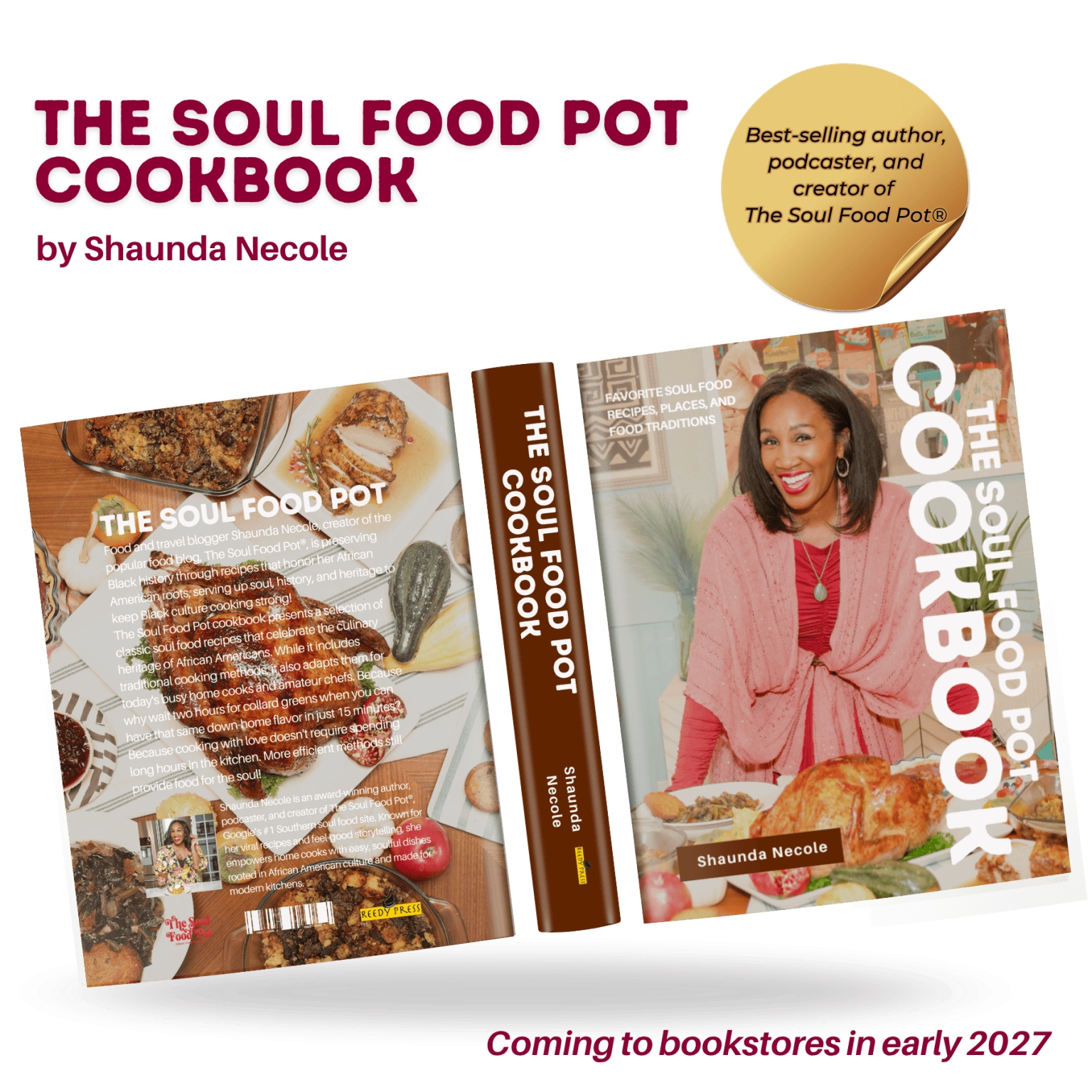 Instant Pot Chicken And Dumplings The Soul Food Way - The Soul Food Pot